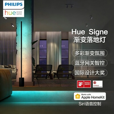 飞利浦Hue睿迹客厅卧室水波纹氛围落地灯光影灯HomeKit电竞拾音灯