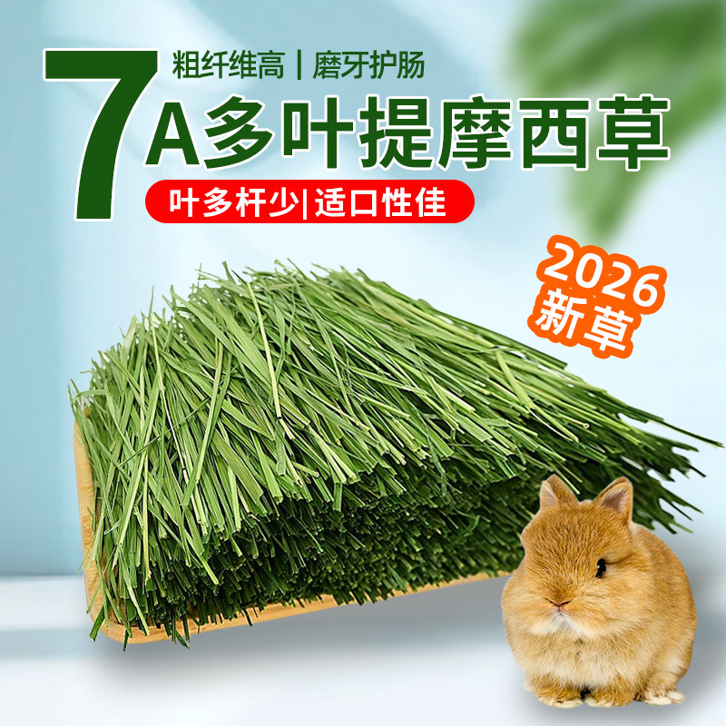 7A级北提烘干提摩西草纯叶几乎无杆适合挑嘴兔兔豚鼠龙猫干草牧草