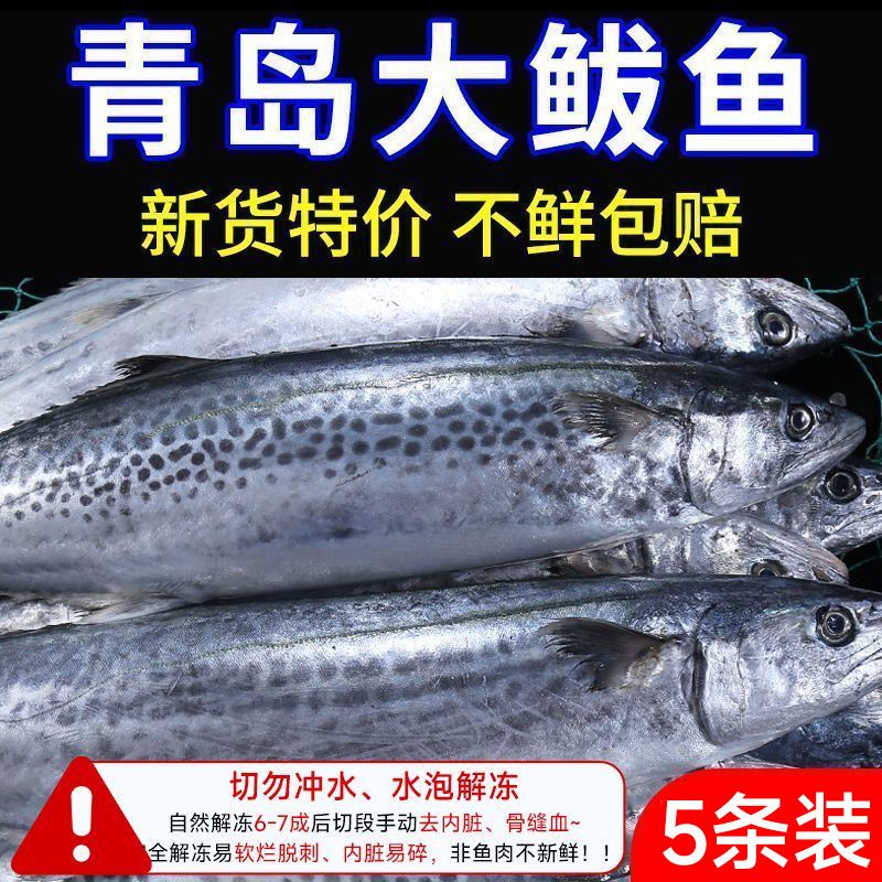 大鲅鱼新鲜活鲐鲅鱼马鲛鱼大整条冷冻青花鱼马友鱼海鲜马交鱼批发