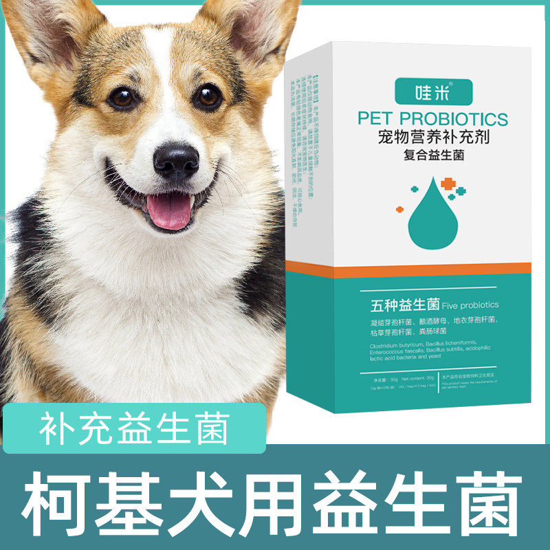 柯基犬用益生菌粉宠物犬用小幼犬成犬肠道活性菌狗狗益生元