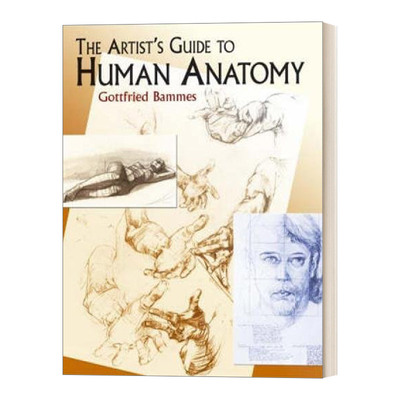 英文原版 The Artist's Guide to Human Anatomy 艺术家人体解剖学指南 英文版 进口英语原版书籍