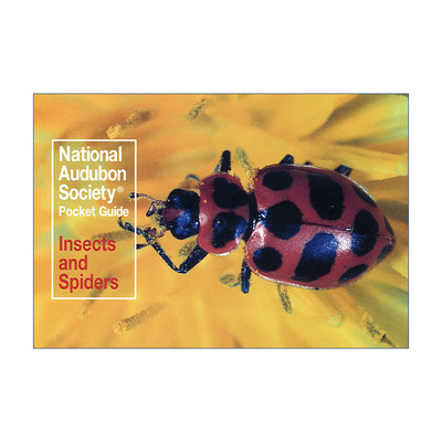 英文原版 National Audubon Society Pocket Guide Insects and Spiders 全美奥杜邦协会袖珍指南 昆虫与蜘蛛 英文版 进口书籍