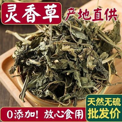 灵香草中药材广西灵草卤水火锅专用香料灵草粉灵陵草香辛料卤料