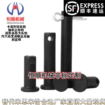 HCMG3 4 5 6-10 12 14 15 16 18 20 22 24 25 30开口带肩铰链销