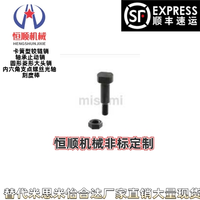 带肩固定型带肩螺帽固定型