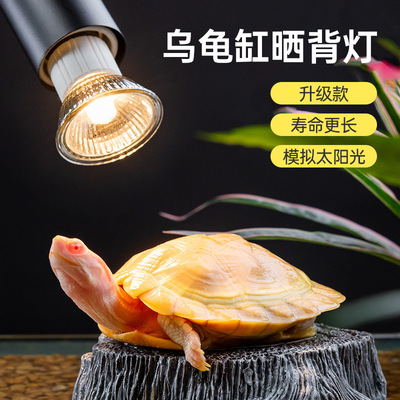 SuperRep乌龟缸晒背灯加热爬宠蜥蜴陆龟饲养箱加温灯爬虫uva+uvb