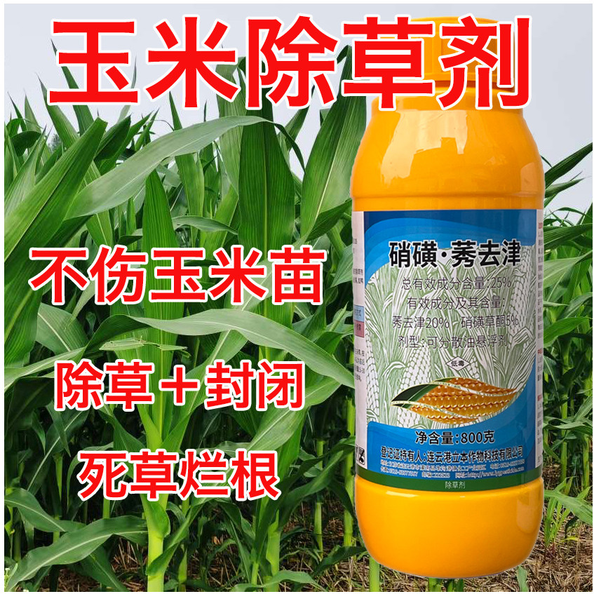 25%硝磺莠去津 可分散油悬浮剂玉米地苗后除草专用剂不伤玉米正品