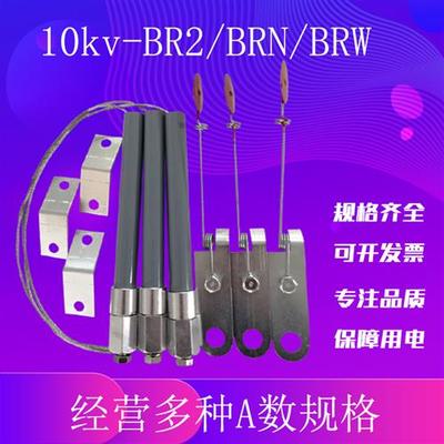 高压并联电容保险丝BR2 BRN BRW-12KV熔断器补偿保险丝30A50A70A