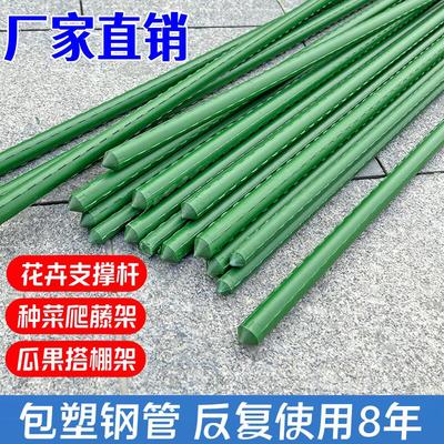爬藤架花卉植物种菜黄瓜支撑杆