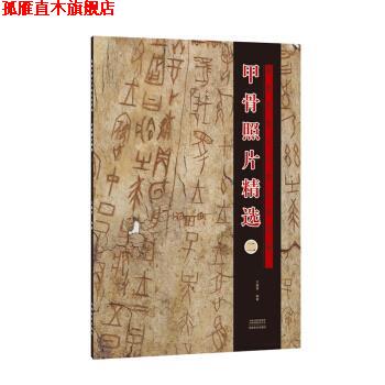 【正版书】 甲骨照片精选 殷墟甲骨文书体分类萃编 王蕴智 著 河南美术出版社