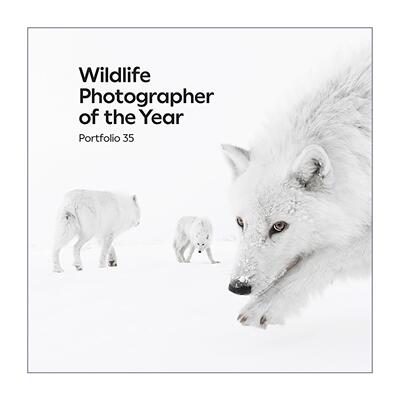 英文原版 Wildlife Photographer of the Year Portfolio 35 年度野生动物摄影师作品集精装 第35卷 英文版 进口英语原版书籍