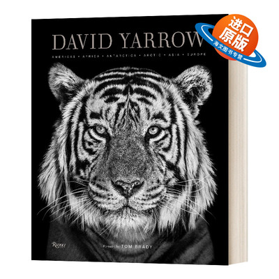 英文原版 精装 David Yarrow Photography 大卫亚罗作品集 动物摄影 精装 英文版 进口英语原版书籍
