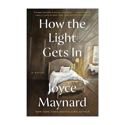 英文原版 How the Light Gets In 微光入怀 三代人的救赎与归处 细数时光续作 英文版 进口英语原版书籍