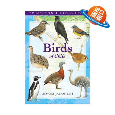 英文原版 Birds of Chile 智利鸟类 普林斯顿野外指南 Alvaro Jaramillo英文版 进口英语原版书籍