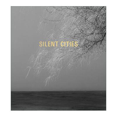 英文原版 Mat Hennek Silent Cities 马特·亨尼克 无声城市 艺术摄影集精装 英文版 进口英语原版书籍
