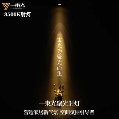 一束光聚光射灯小角度3度5度8度15度光束角3500K嵌入式茶室玄关灯