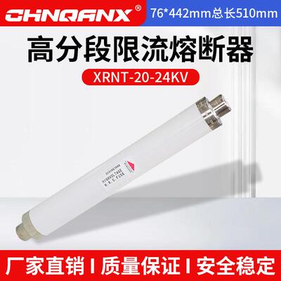 全新XRNT1-24KV/50A60A65A75A100A125A20KV高压分断能力限流包邮