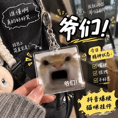 亚克力猫咪表情包钥匙扣