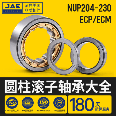 JAE高速重载圆柱滚子轴承NUP214 215 216 217 218 219 ECP ECM