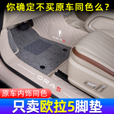 欧拉5汽车专用全包围脚垫