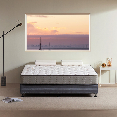 【门店同款】天禧派弹簧床垫椰棕科技三防面料防螨席梦思主卧8039