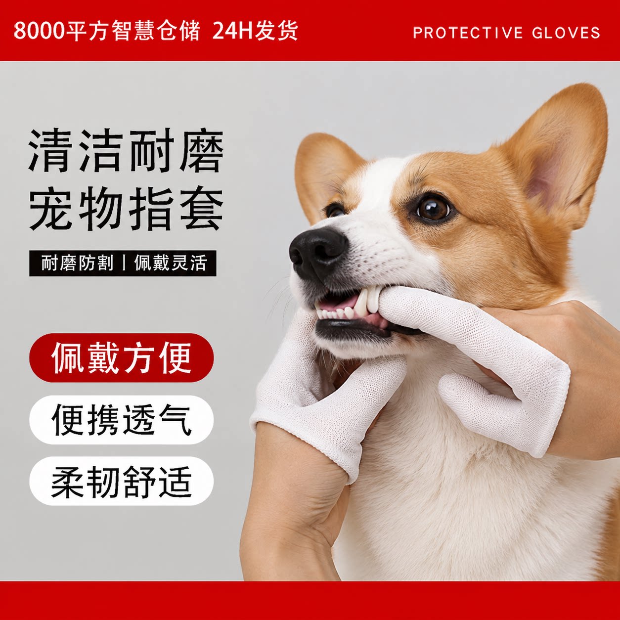 宠物猫狗洗牙神器清洁护理去污刷牙指套抑菌除臭弹性耐磨不伤口腔