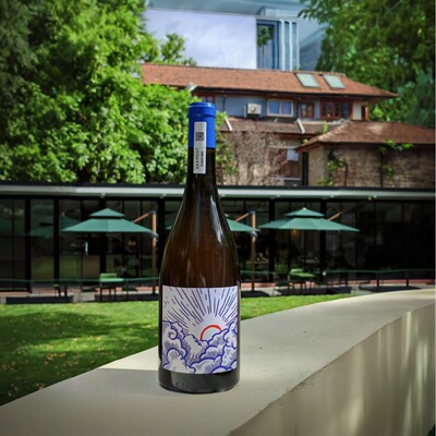 一瓶带你入坑 Tenuta Foresto Favonio海上日出橙酒自然酒意大利