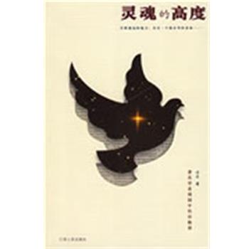 【正版书】 灵魂的高度 宁子 著 江西人民出版社