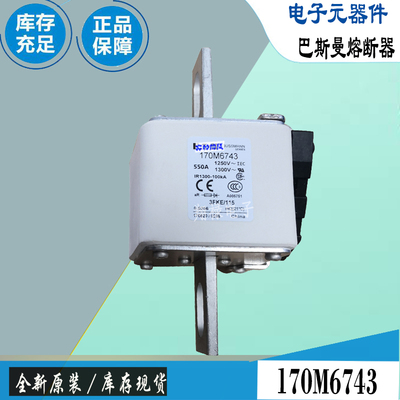 巴斯曼170M6747170M6748保险丝