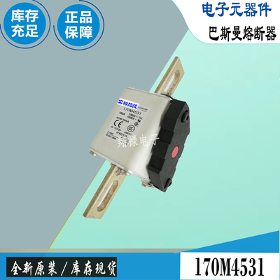 巴斯曼170M4510170M4511保险丝