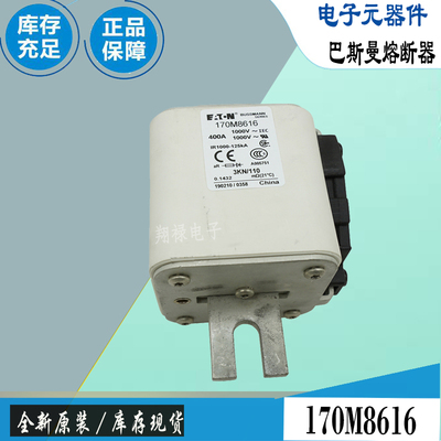 巴斯曼170M5975170M8614保险丝