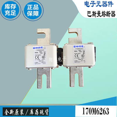 巴斯曼170M6267170M6268保险丝