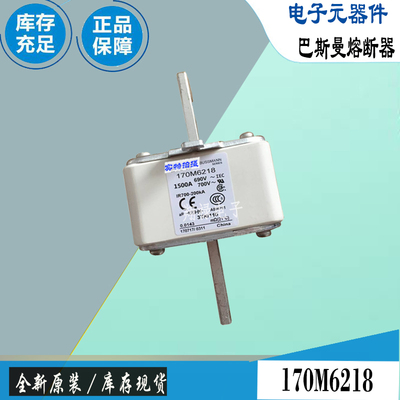 巴斯曼170M6220170M6221保险丝