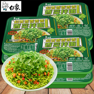 白象香菜拌面6盒装干拌凉方便面速食早晚餐泡面宿舍食品