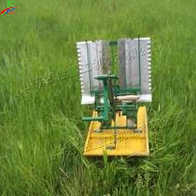小型水稻栽苗补苗机双行退步式手摇插秧机农用水稻秧苗播种机