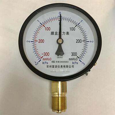 +-3kpa +-300mmh2o 膜盒压力表 YZE-100 直径100mm 螺纹m20x1.5