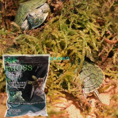 100g Natural Terrarium Moss Reptile Turtle Moss Substrate Ha