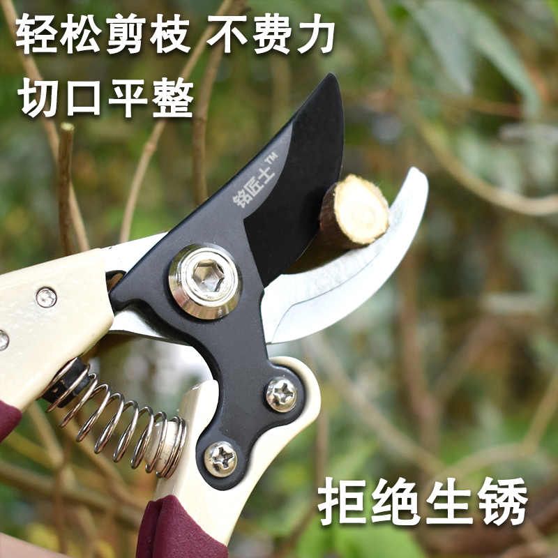 强力果树枝剪刀修枝剪刀粗枝剪树剪子剪刀剪枝花卉绿化园艺剪刀