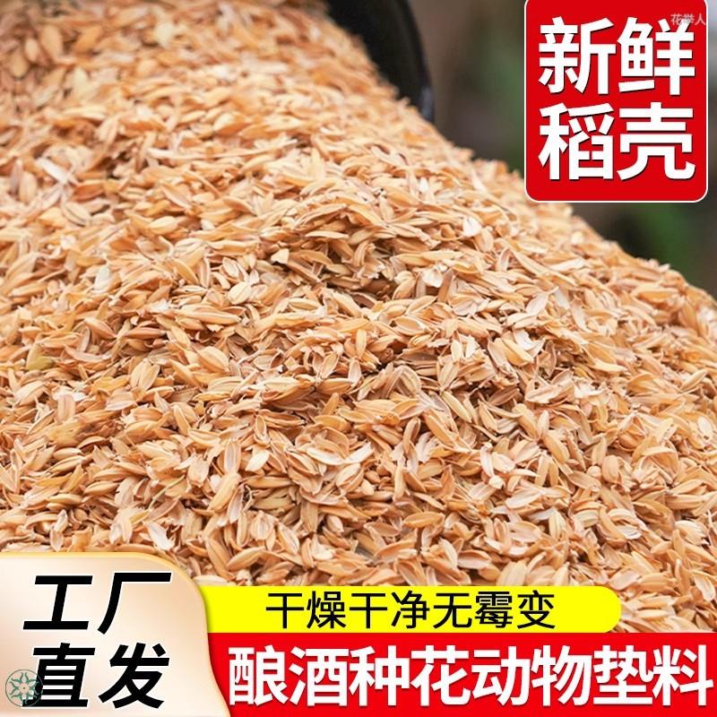 现磨新鲜稻壳发酵酿酒谷壳花草营养枕头填充芦丁鸡稻谷清仓垫料