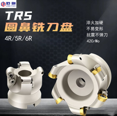 TRS/R5/R6/R8/RDMW10T3/RDMT1204/1605数控铣刀盘淬火加硬刀柄