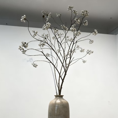 乌桕果【菩提果】小白果蝴蝶果可干花室内意境感高级感插花