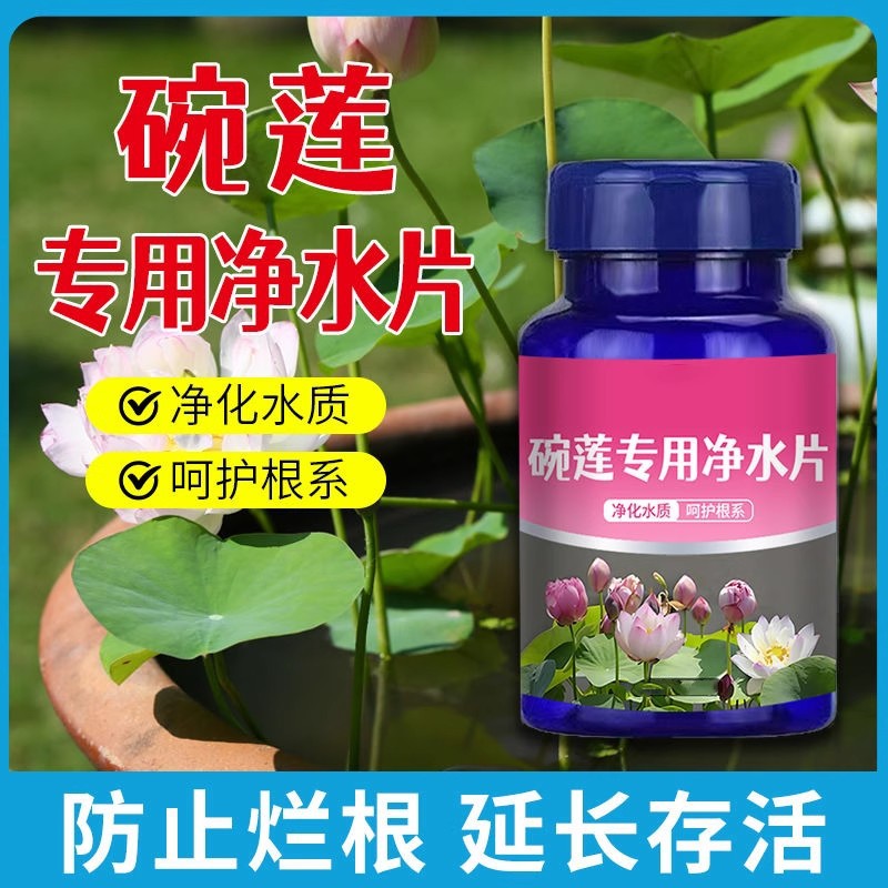 碗莲荷花净水片催芽睡莲开花黄叶叶面黑烂叶增肥果蔬花卉保鲜剂
