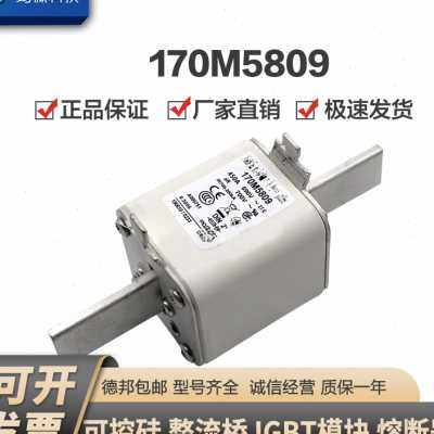 供应巴斯曼全新快速熔断器170M5808 170M5809 170M5810_虎窝淘