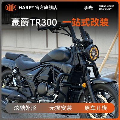 tr300改装件一站式配齐