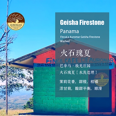 极光庄园火石瑰夏手冲单品咖啡豆