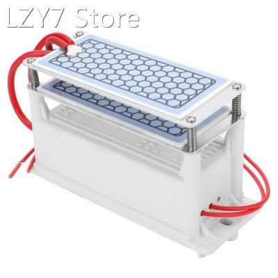 Professional 10g/h Ceramic Ozone Generator Double Integrated
