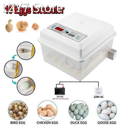 Eggs Incubator 16 Eggs Double Power Automatie Incubatores wi