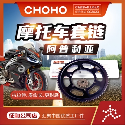 复古牙盘油封链条阿普利亚