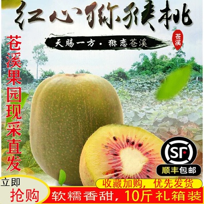 世界红心猕猴桃发源地，苍溪甜！