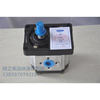 SDH上海大众齿轮泵CBTt-F304 306 308 310 314 316 320 325F3P7压